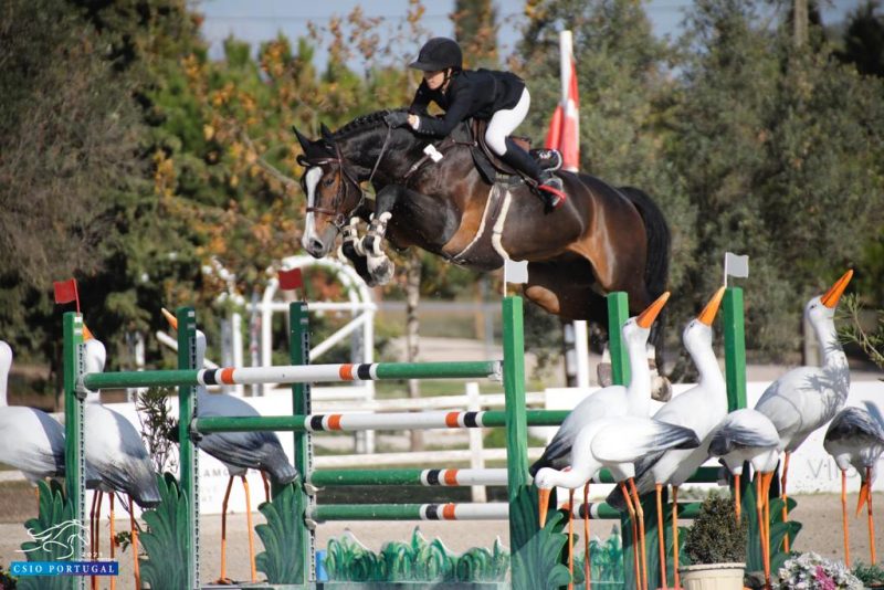 Mandy Mendes Costa - Écurie de compétition et valorisation